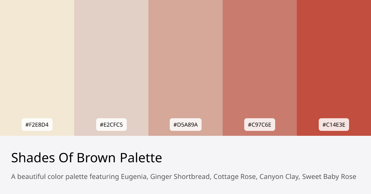 Shades Of Brown Color Palette